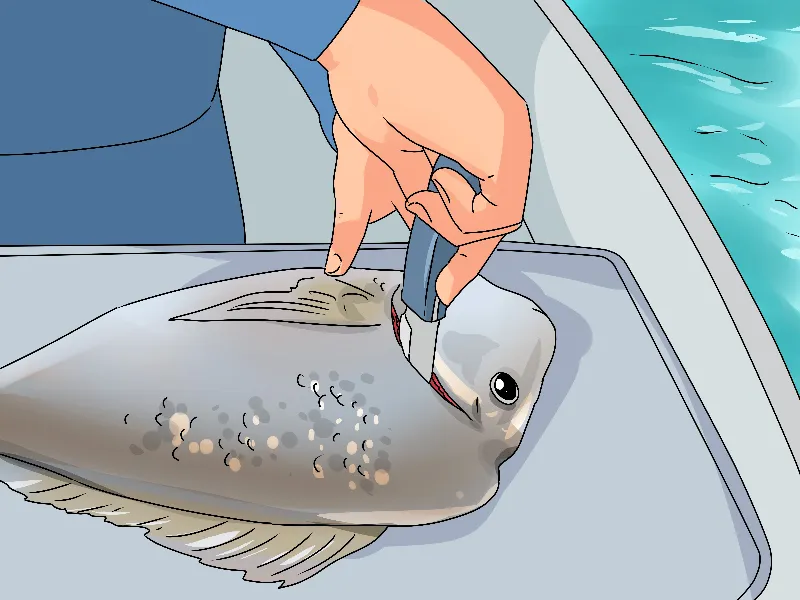 Cómo Enseñar A Un Pez A Caminar Una Guía Práctica